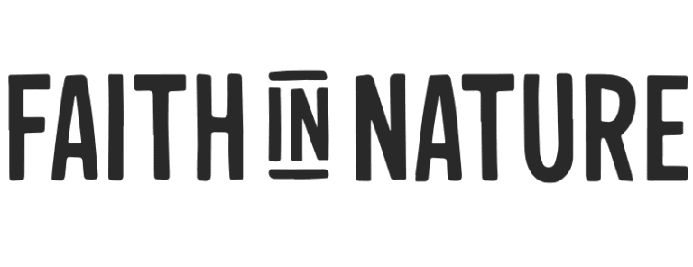 Amazon Agency for Seller and Vendor Brands | Venture Forge